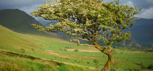 Things to Do in Cumbria and the Lake District | Creative Tourist