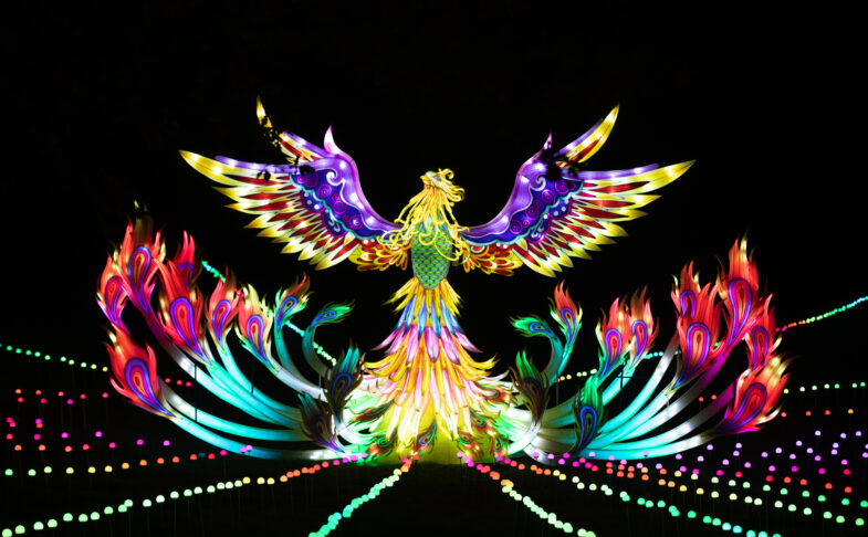 Light Festivals in the North | Things to Do | Creative Tourist