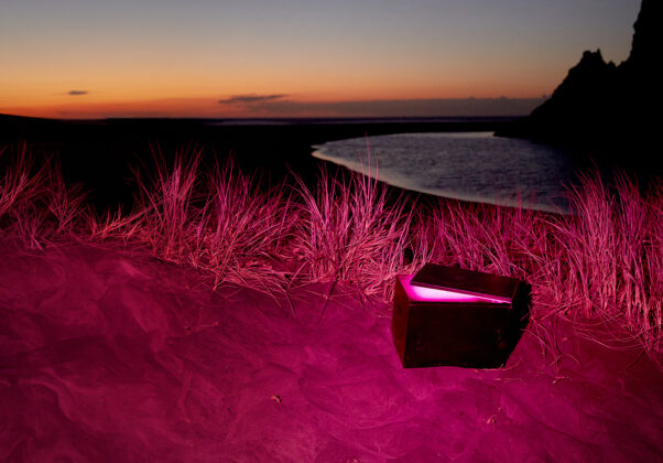 Tartuffe at Side Street Kitchen | Rotisserie chicken in Manchester